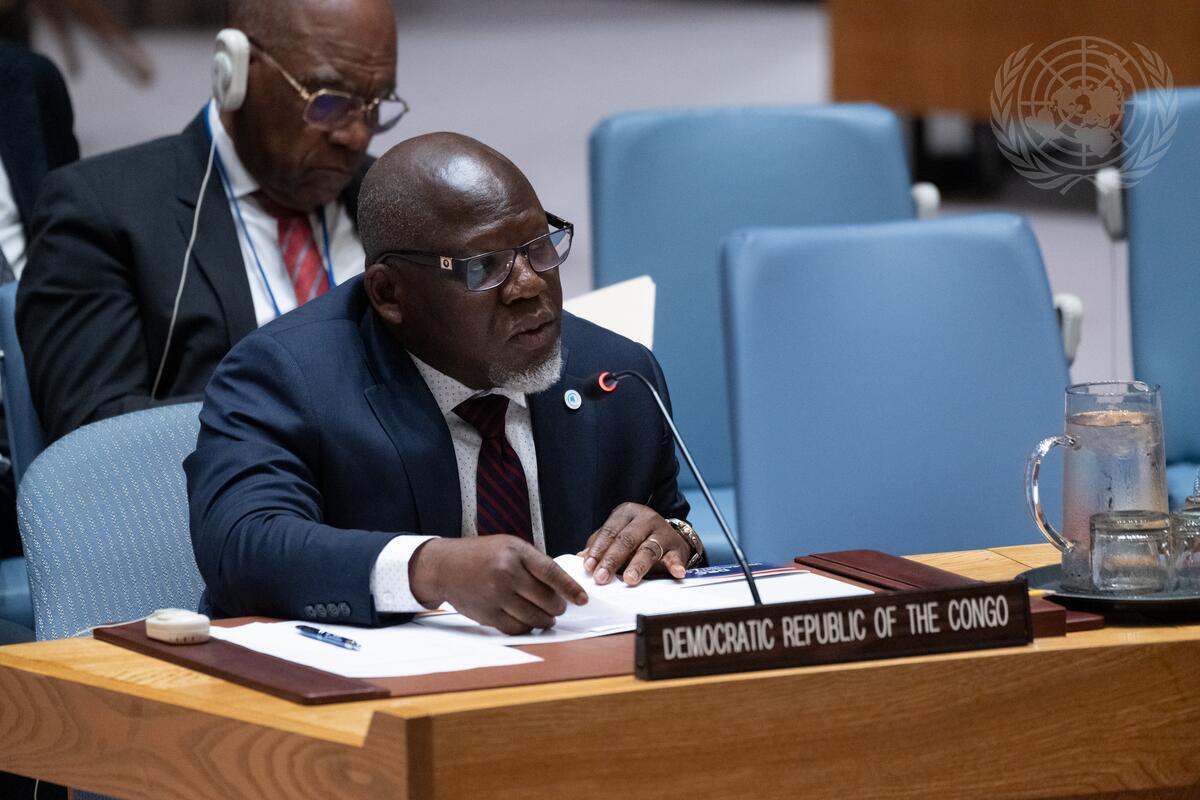 Security Council Meets on Situation Concerning Democratic Republic of ...