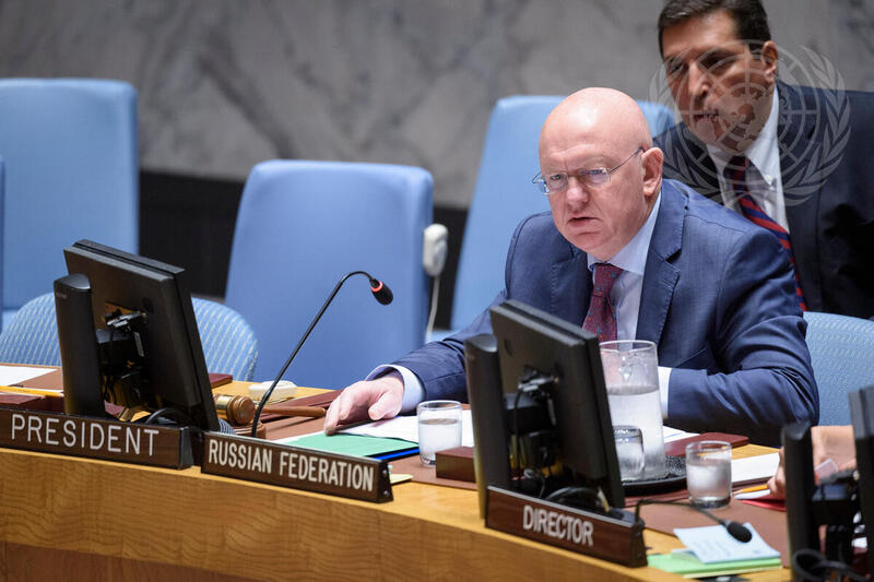 Security Council Considers Situation in Libya | UN Photo