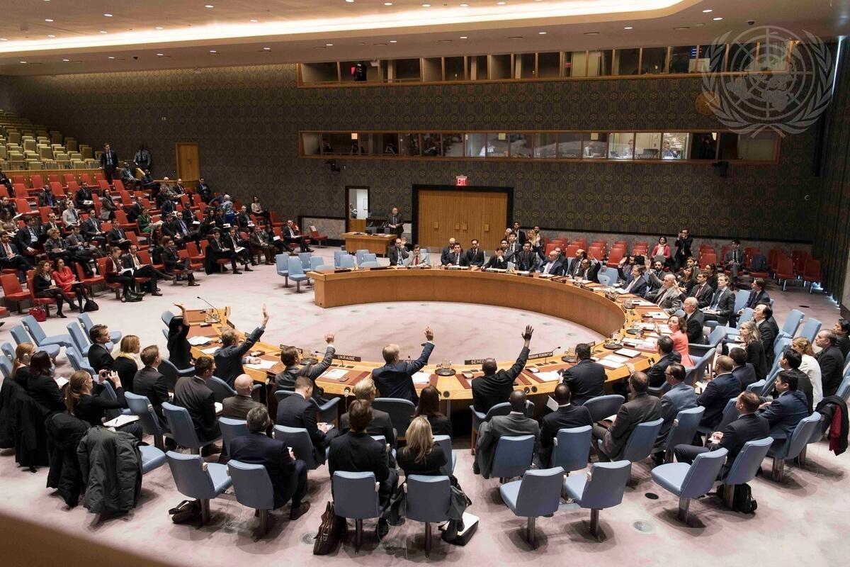 Security Council Adopts Resolution on Humanitarian Cross-border Aid to Syria | UN Photo
