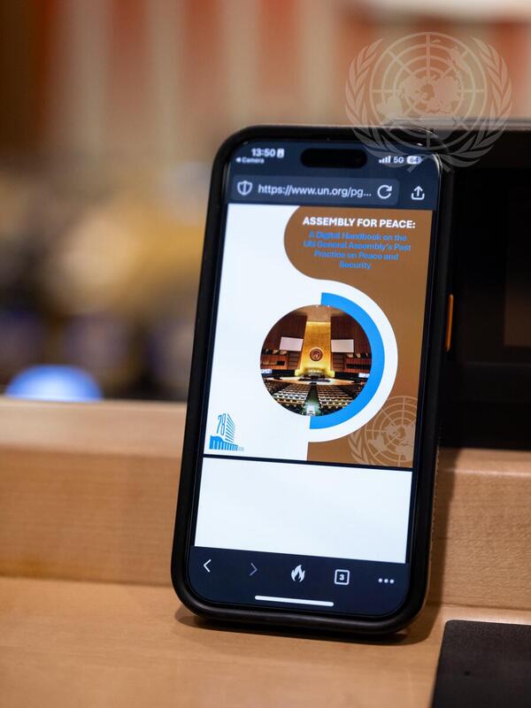 Launch of Assembly for Peace: A Digital Handbook on UN General Assembly ...