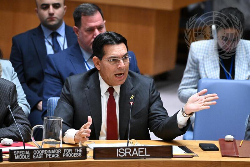 Security Council Meets on Situation in Middle East | UN Photo