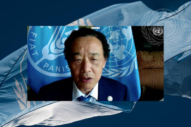 ECOSOC Event on Accelerated Action and Transformative Pathways to ...