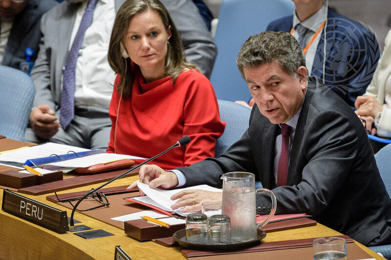 Security Council Meets on Mission to Myanmar and Bangladesh | UN Photo