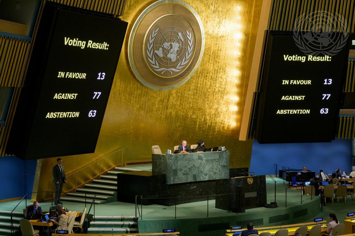General Assembly Discusses Major UN Conferences and UNEP | UN Photo
