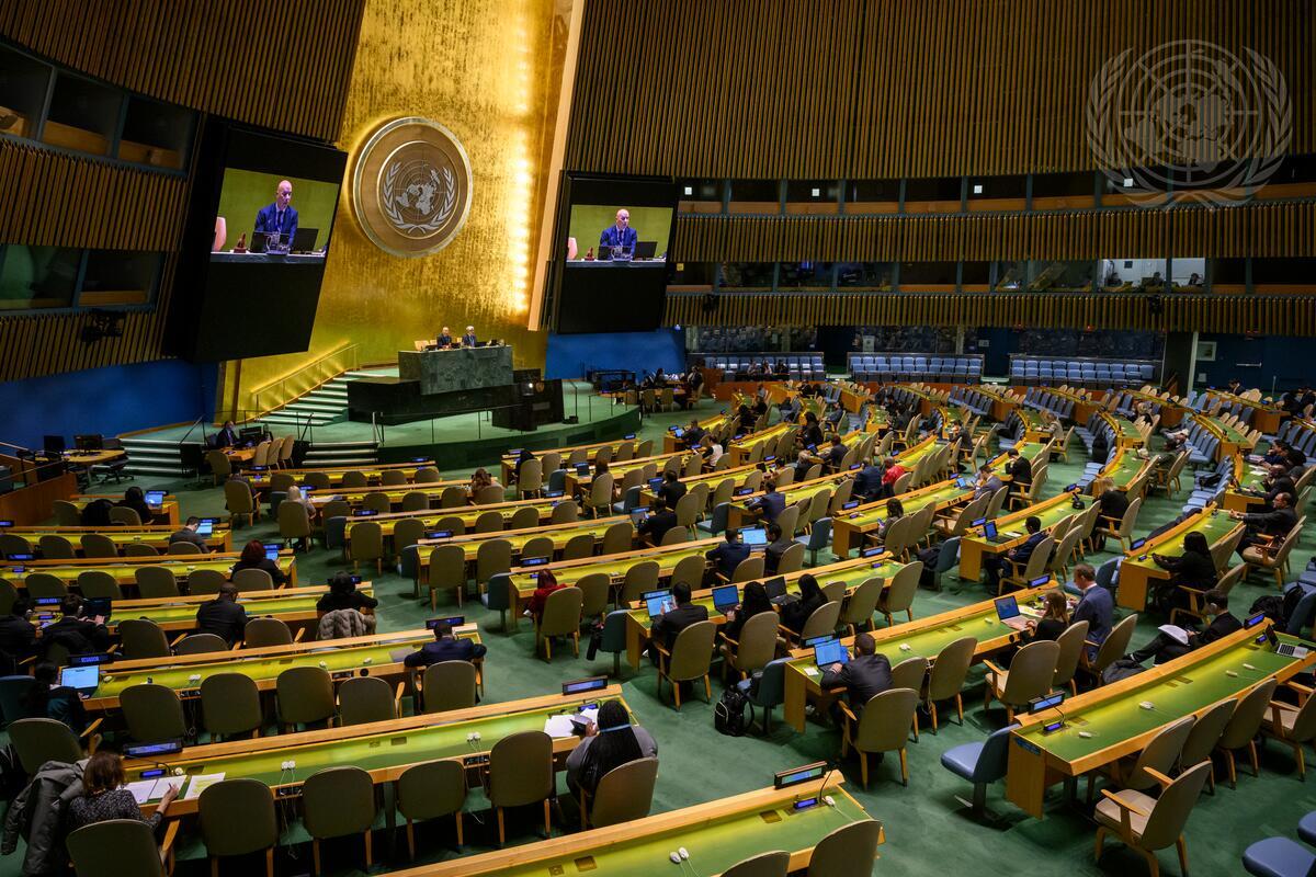 General Assembly Holds 63rd Plenary Meeting | UN Photo