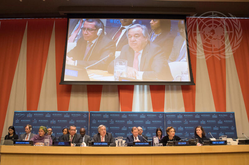 ECOSOC Operational Activities for Development Segment | UN Photo