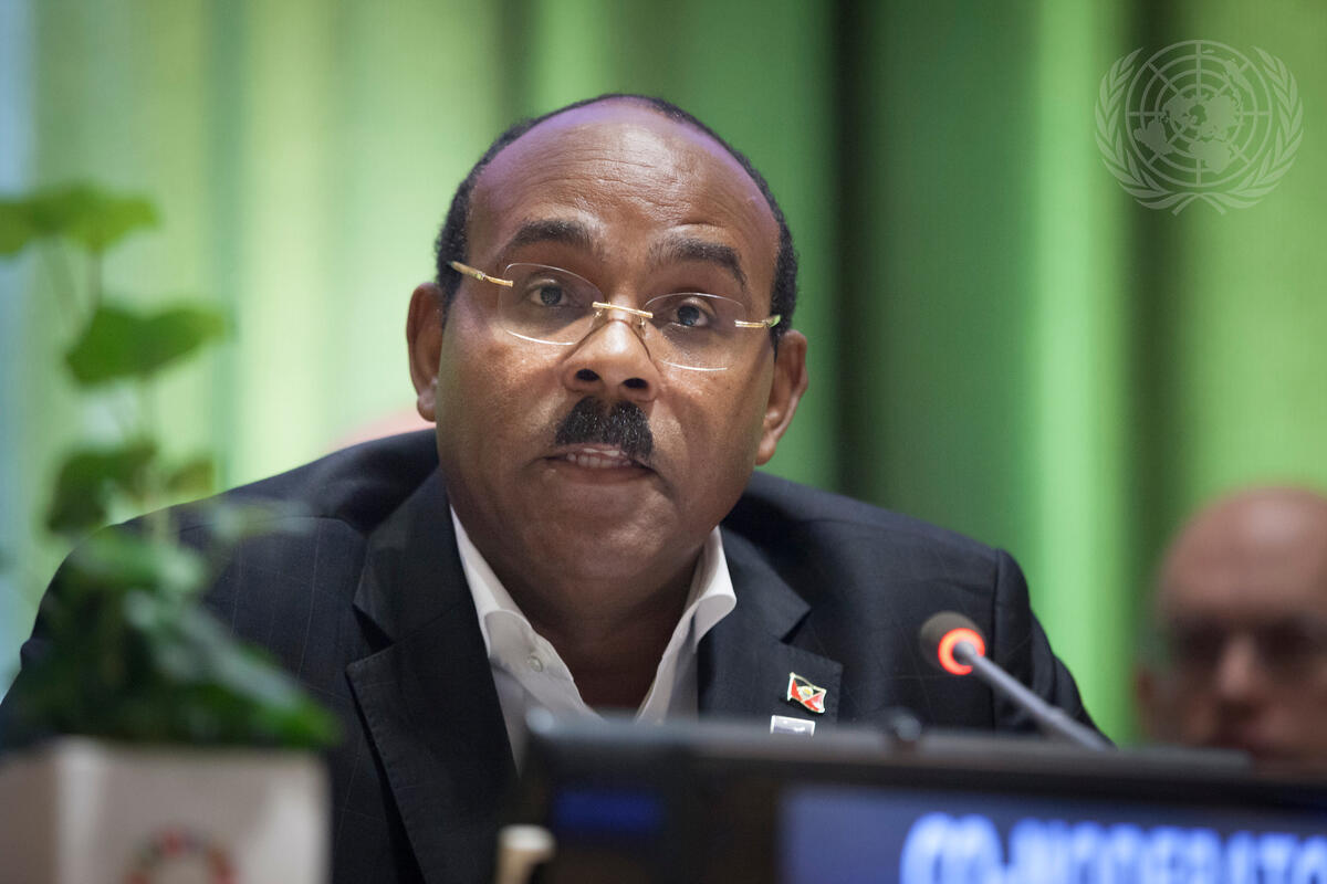 High-level Political Forum on Sustainable Development | UN Photo