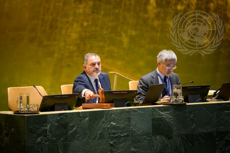 General Assembly Holds 79th Plenary Meeting | UN Photo