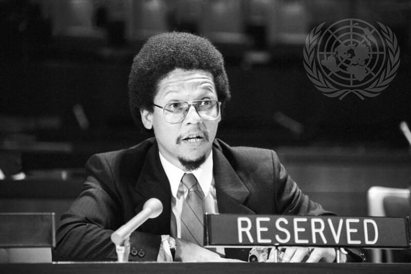 Decolonization Committee Continues Hearings of Puerto Rico | UN Photo