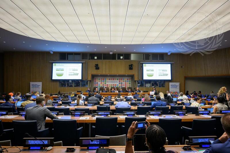 Meeting on SDG 2 Zero Hunger During High-level Political Forum 2024 | UN Photo